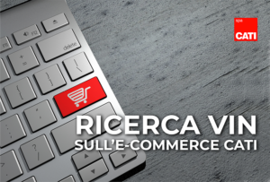 Ricerca VIN sull’e-commerce CATI! - CATI spa