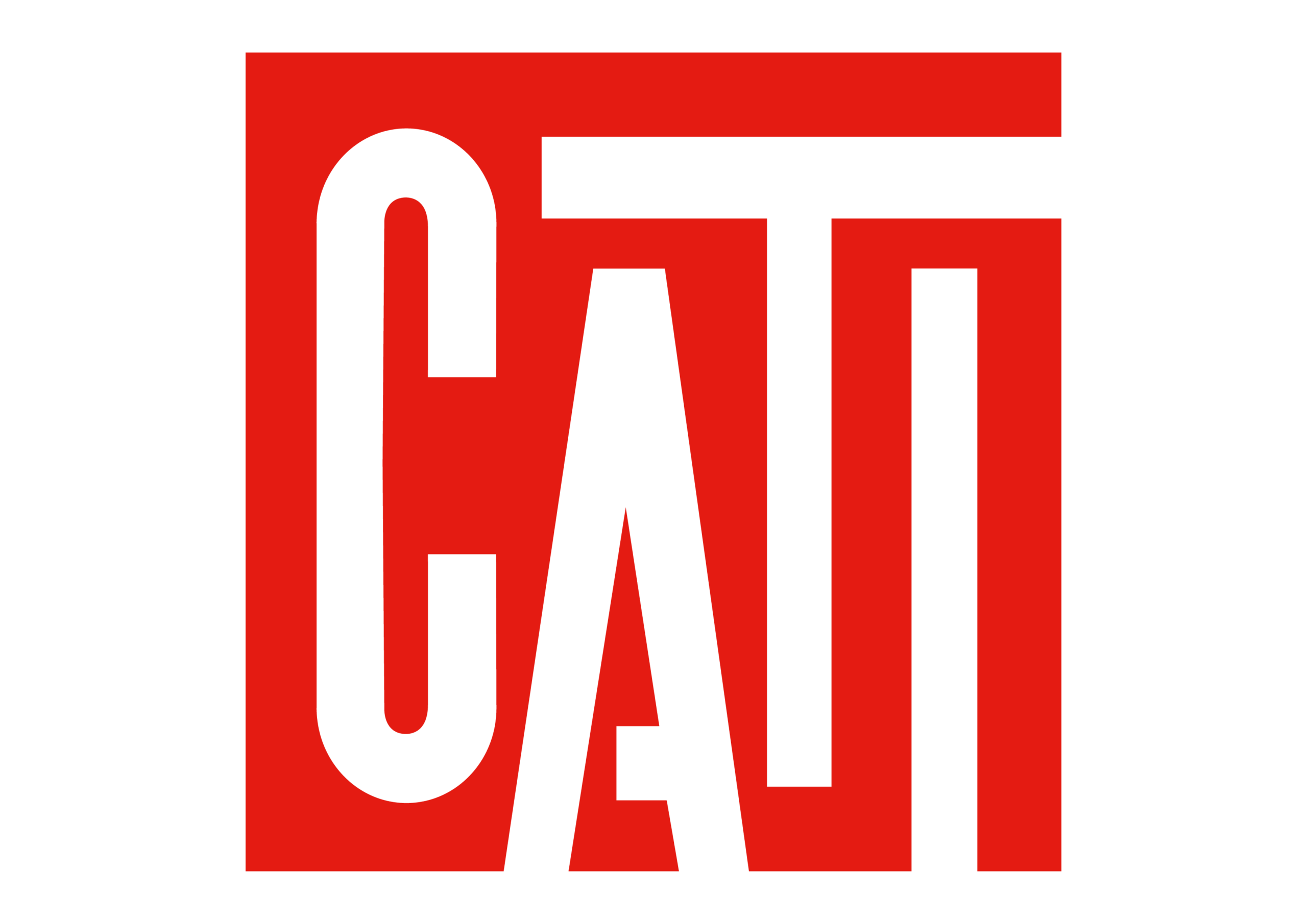 La nostra storia - CATI spa